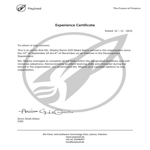 Wajiha Payload Experience Letter | PDF
