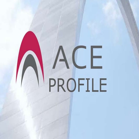 ACE UAE Profile | PPTX | Insurance | Personal Finance