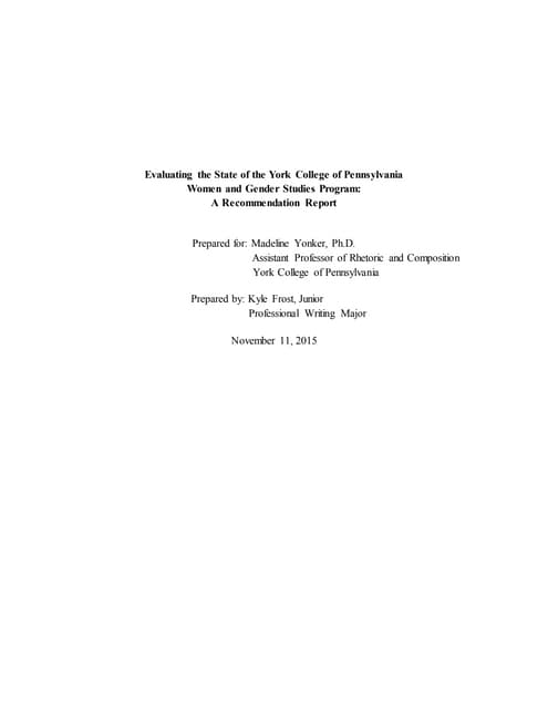 Formal Recommendation Report Final Pdf