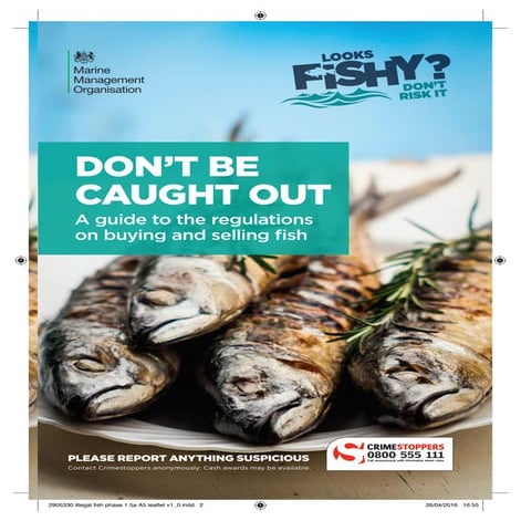 Illegal_fish_leaflet - Final.PDF