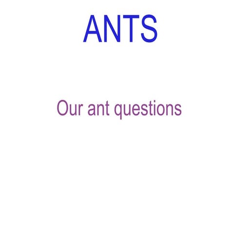 C:\fakepath\ants thingy | ODP | Beekeeping | Hobbies & Interests