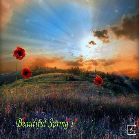 Beautiful Spring 1 – beautiful scenery of spring with Cat Stevens’s ...