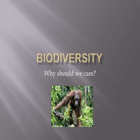 Biodiversity | PPTX