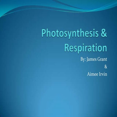 Photosynthesis to Respiration | PPTX
