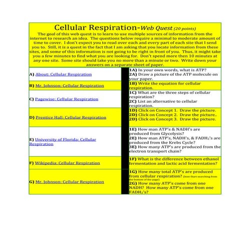 Cells2008 2009 | PPT