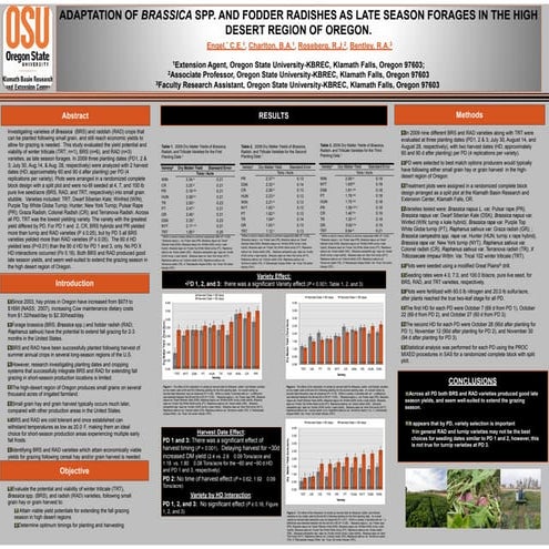 Seasonal growth patterns of Arundo donax L. in the United States | PDF