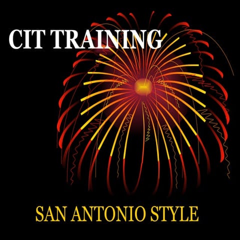 CIT Training Style San Antonio | PPT | Brain and Nervous System ...