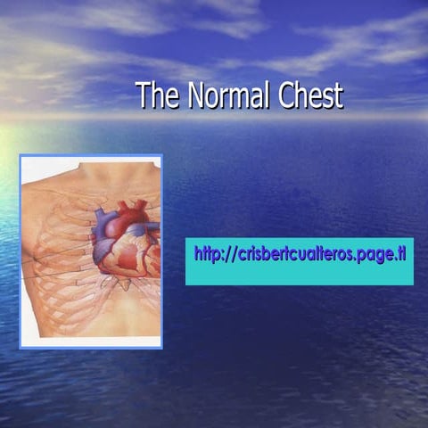 Anatomy of chest | PPTX