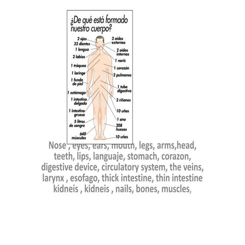 cuerpo humano | PPT