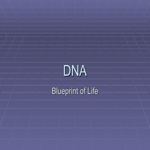 DNA | PPT