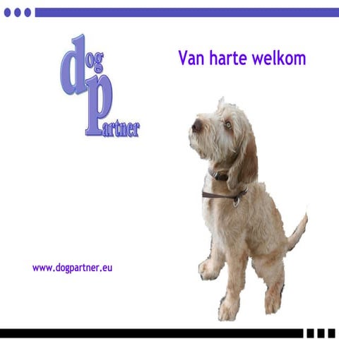 DogPartner, Obedience can be fun | PPT