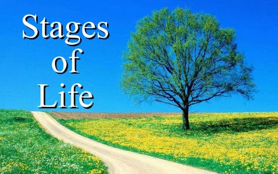 Life transitions | PPTX | Science