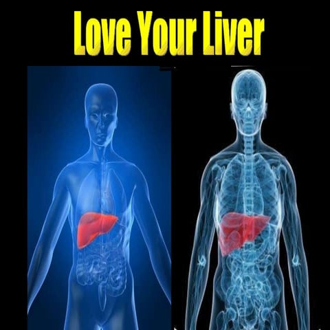 Love Your Liver | PPT