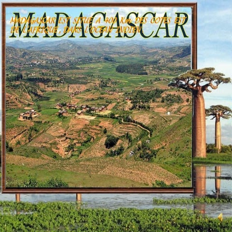 MADAGASCAR 2 | PPT