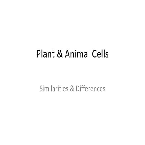 Plant and Animal Cells | PPTX