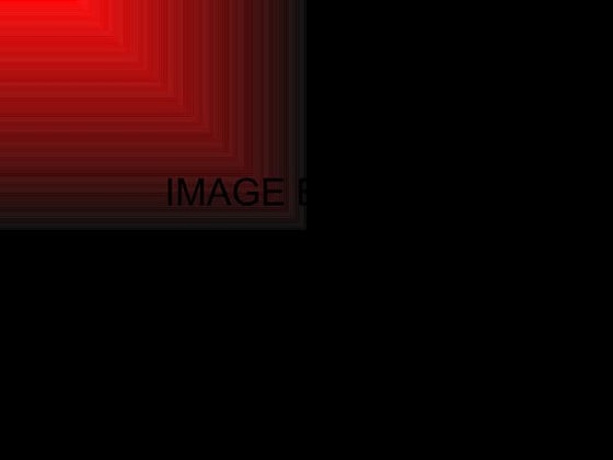 Image manipulation record | DOCX