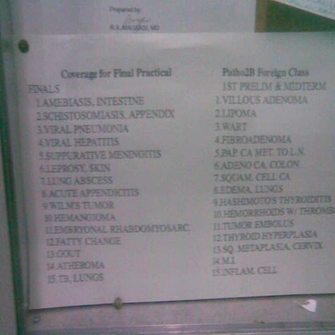 C:\fakepath\presentation1 | PPTX