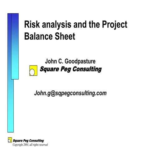 The Project Balance Sheet | PDF