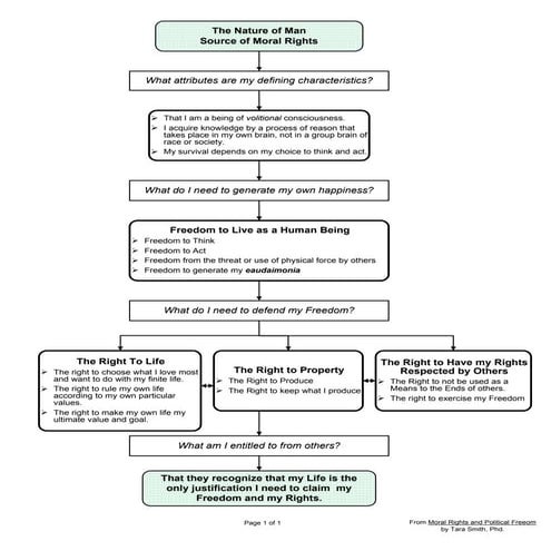 Rights And Freedom | PDF