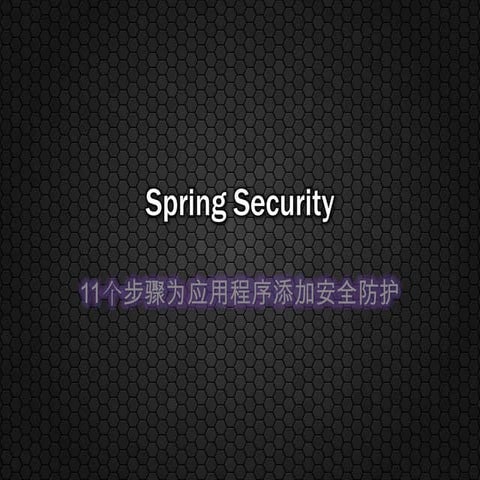 11个步骤应用Spring Security 3 | PPT