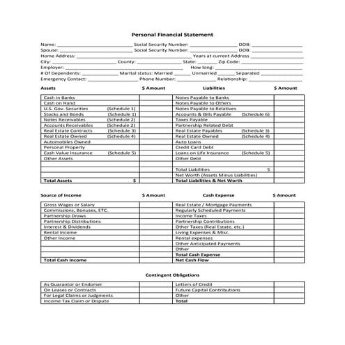 Personal Financial Statement | PDF