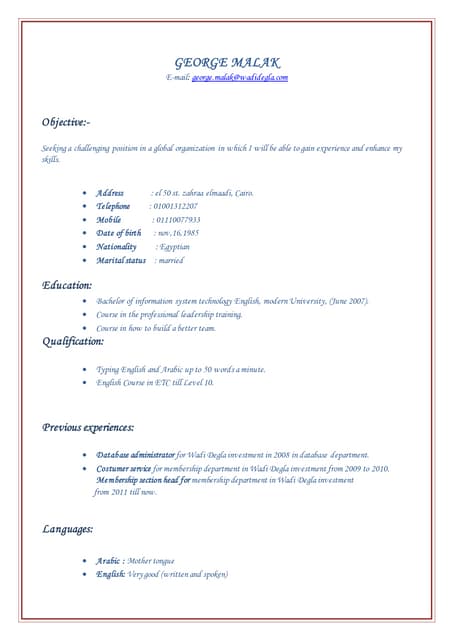 Hany's CV | PDF
