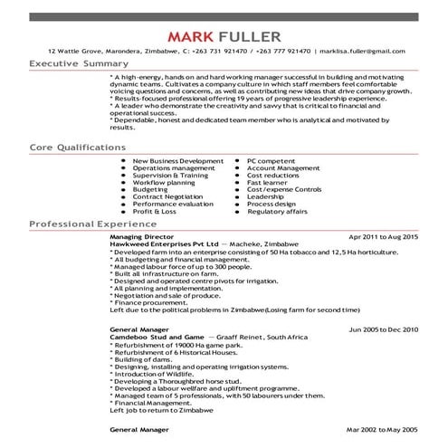 Mark Fuller Resume.docx-2 | DOCX