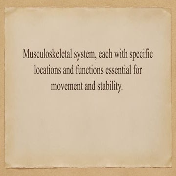 CF important muscles in the body .ppt for Anatomy | PPTX