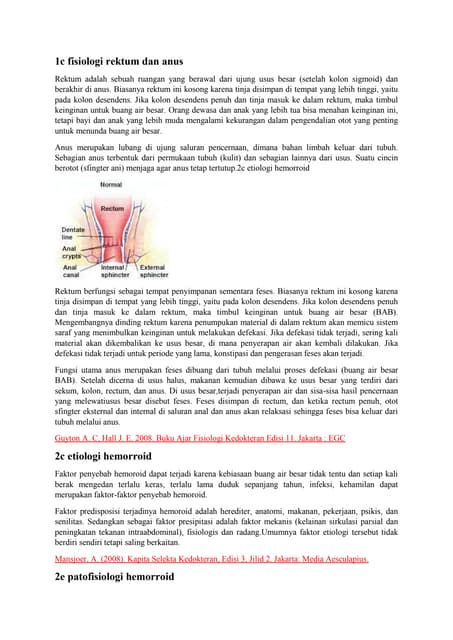 Malformasi ano rektal | PPT