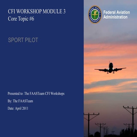 CFI Workshop - Module 3 Sport Pilot | PPT