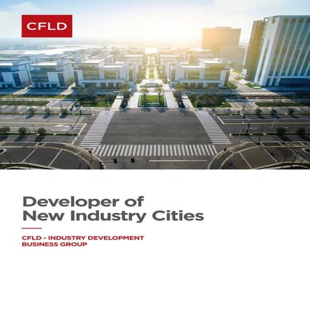 Introduction to CFLD IDBG | PDF