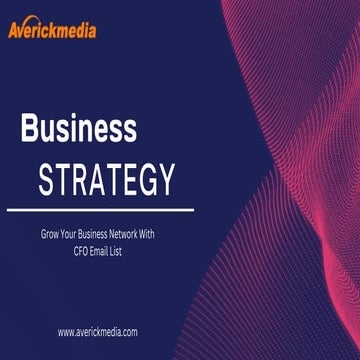 CFO Email List | PDF