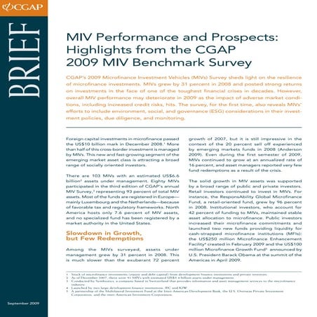 Cgap brief-miv-performance-and-prospects-highlights-from-the-cgap-2009 ...