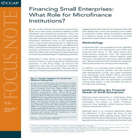 Financing Small Snterprises what Role for Microfinance | PDF