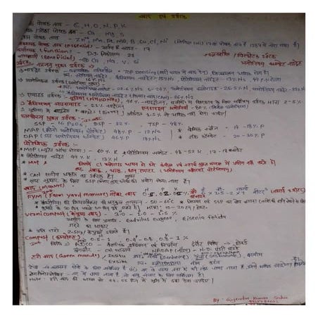 CG PAT Short Notes | PDF