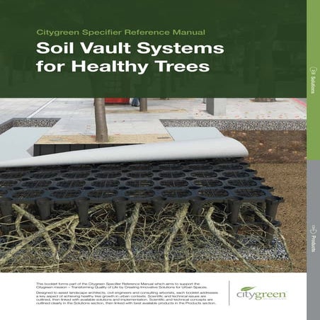 Soil Vault Systems for Healthy Trees in Cities | PDF
