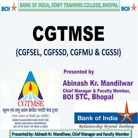 CGTMSE & other loan guarantee schemes | PDF