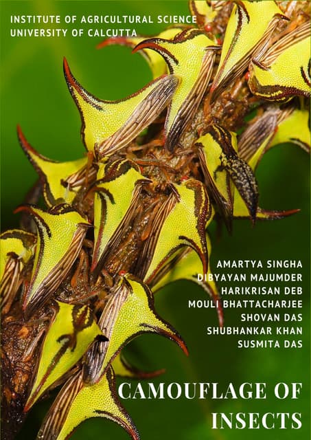 Mimicry (Evolutionary Biology) | PPTX | Reptiles | Pets