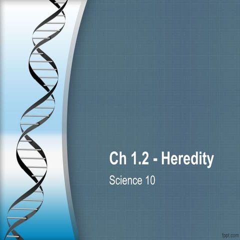 ch-1.2.ppt biology heredity high school science | PPT