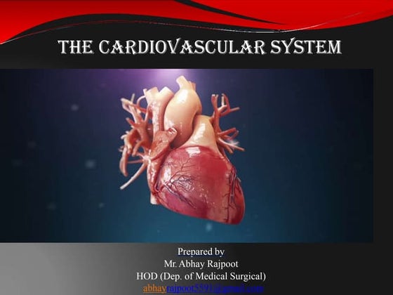 Anatomy of the Cardiovascular system | PPT