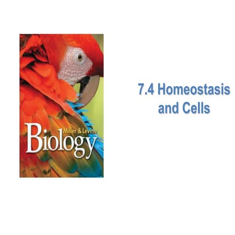Ch. 7.4 Summary - Homeostasis | PPT | Biological Sciences | Science