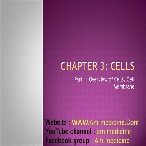 Anatomy & Physiology Lecture Notes - Ch. 3 cells - part 1 | PPT