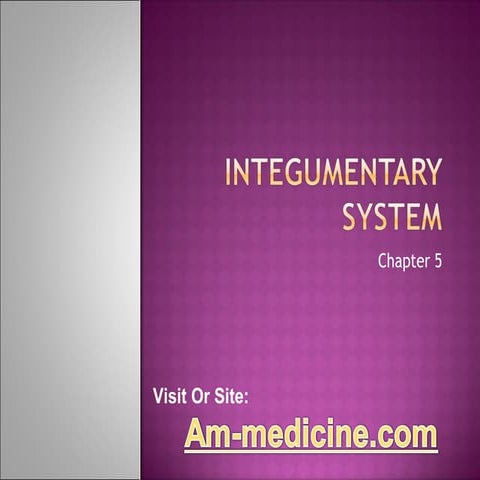 Ch. 5 integumentary system - part 1 | PPT