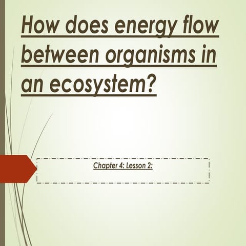 Ch.4.less.2.how does energy flow between organisms in an ecosystem | PPTX