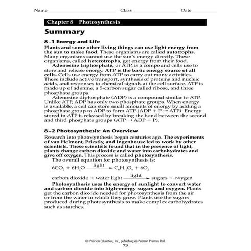 Ch. 8 Photosynthesis Notes | PDF
