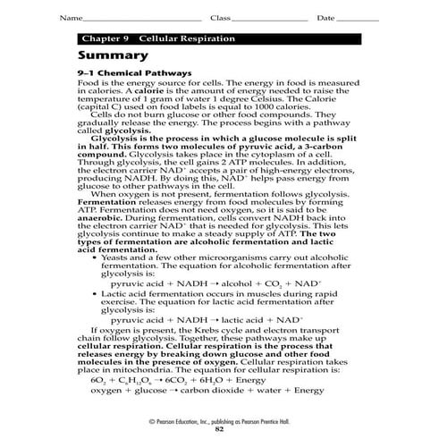 Ch. 9 Cellular Respiration Notes | PDF
