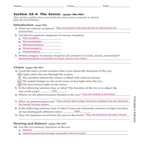 Ch. 35 senses ws Answers | PDF