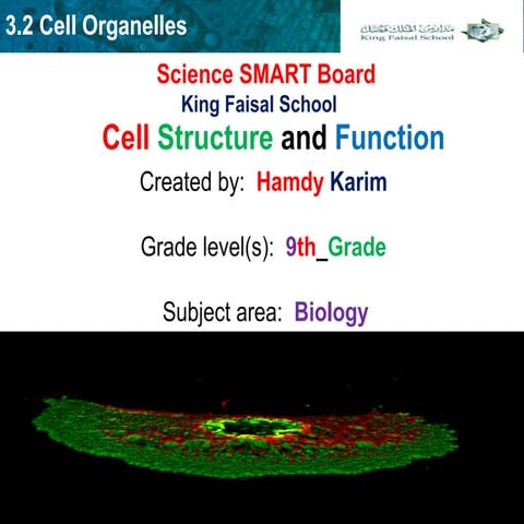 Cell Organelles Grade 9 KFS By Hamdy Karim | PPT