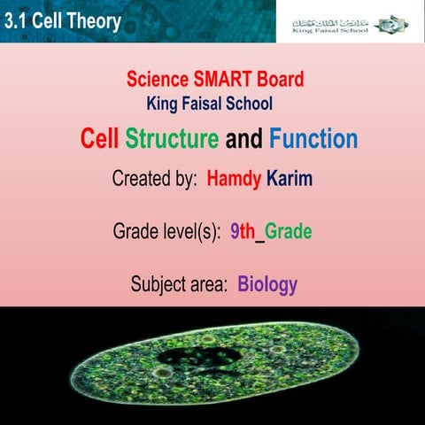 Cell structure & Function grade 9 KFS, By Hamdy Karim | PPT