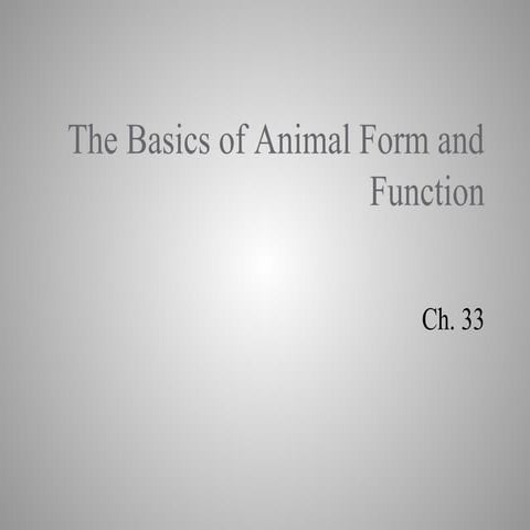 AP Biology Animal Form and Function Ch. 33 | PPT